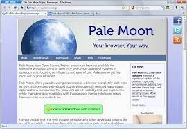 沧月浏览器 Pale Moon 32.1.0 发布：提升 Web 兼容性 - 软餐